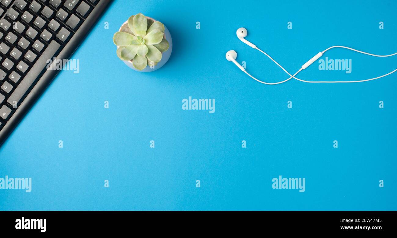 Minimal office desk. Flat lay - keyboard, white earphones, succulent on ...