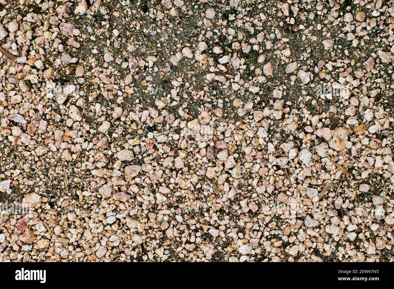 Small pebbles mixed with dirt, closeup image directly above. Natural ...