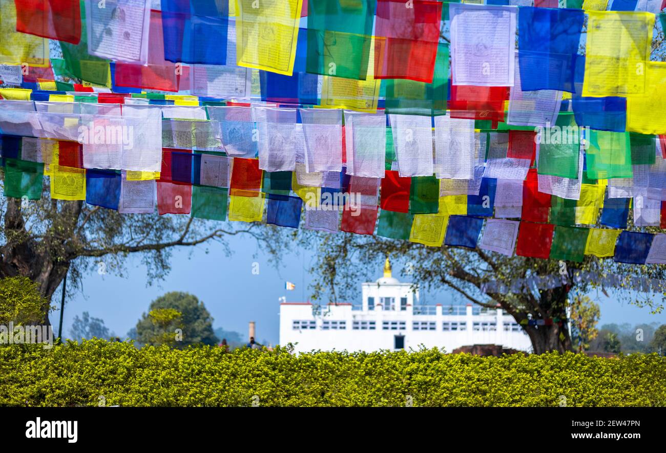 Many prayer flags in the wind against the Holy Maya Devi Temple in ...
