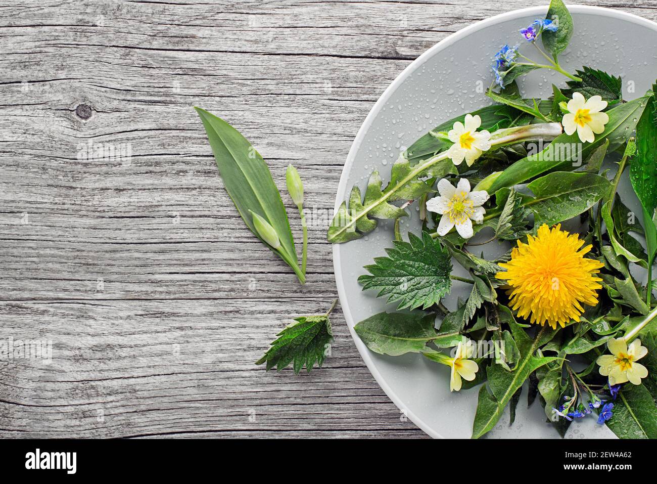 Healthy spring food ingredients. Dandelion, wild garlic and nettle in ...
