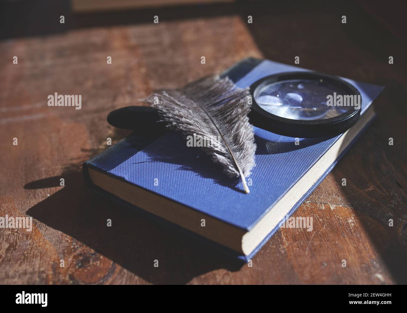 Old used feather hi-res stock photography and images - Alamy