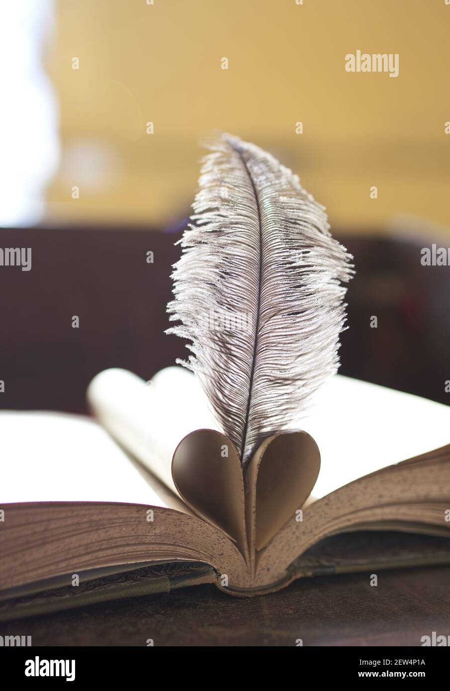 Open book with pages folded in the shape of a heart and a feather ...