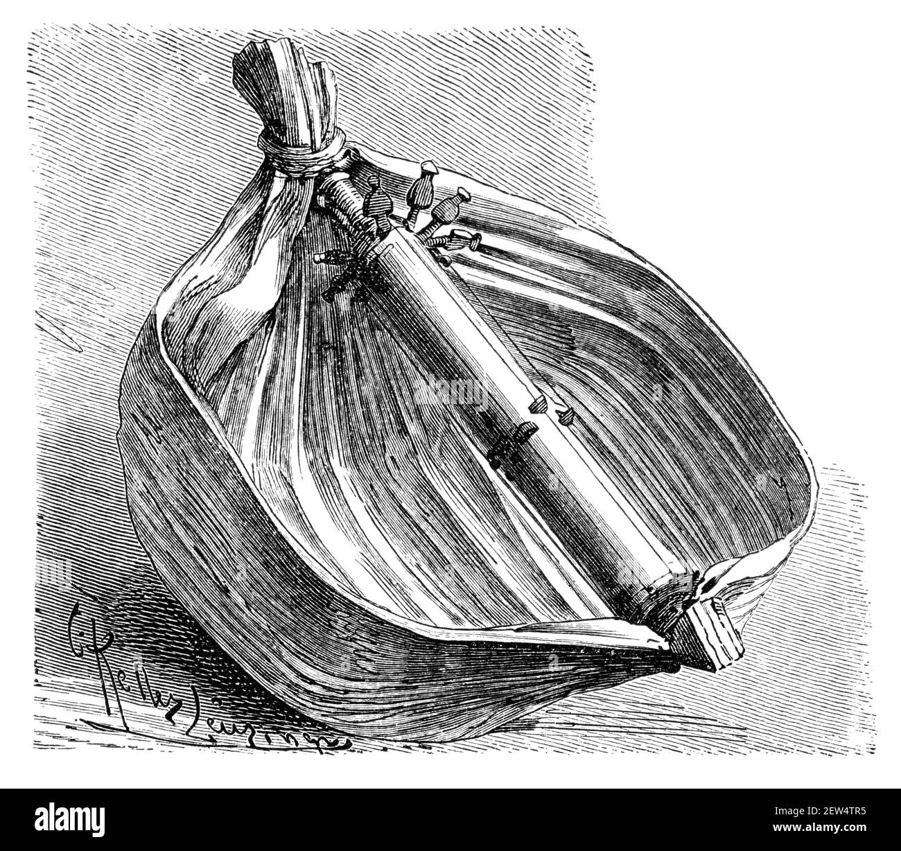 Sasando, musical instrument, Madagascar. Culture and history of Africa ...