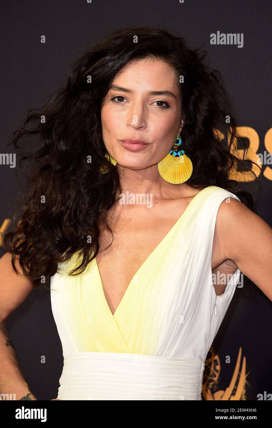 LOS ANGELES, CA - SEPTEMBER 17: Reed Morano arrives at the 69th Emmy ...