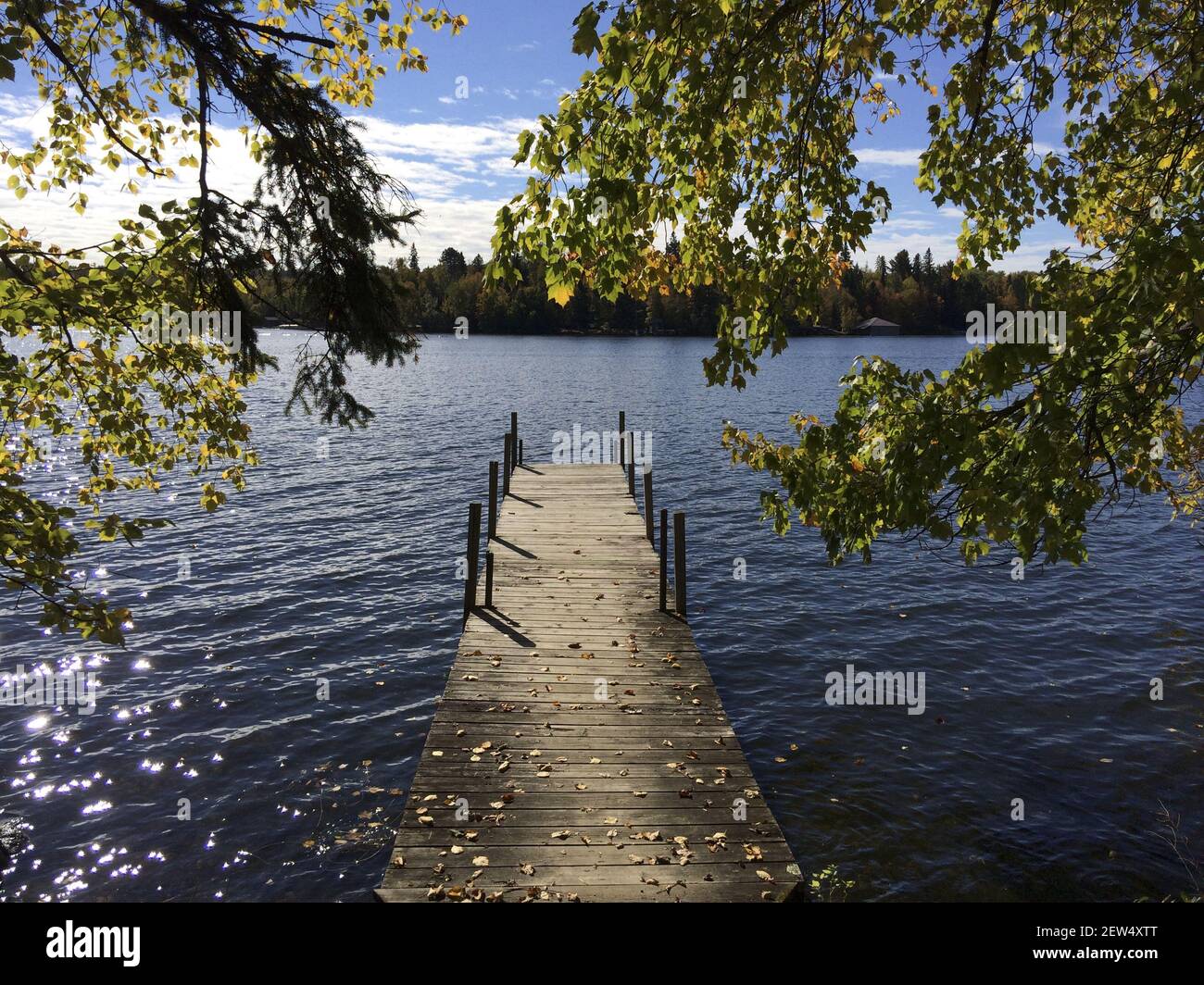 Ludlow's Island Resort, a cluster of charming cabins sprinkled across a ...