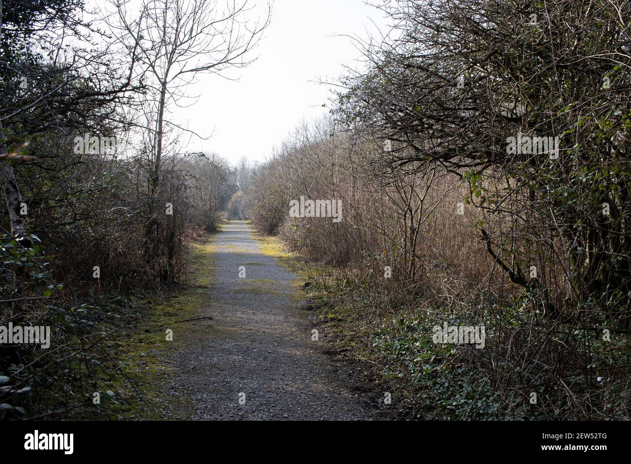 A view of Hut 9 at Island Farm, a World War 2 Prisoner of War Camp in ...