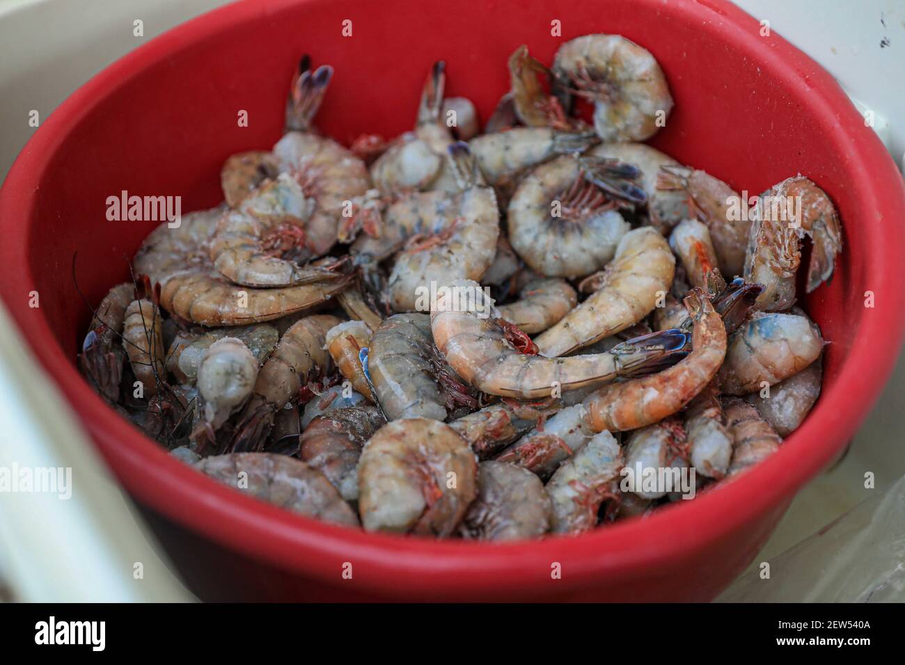 Camarones camarones camarones camarones mariscos hi-res stock ...