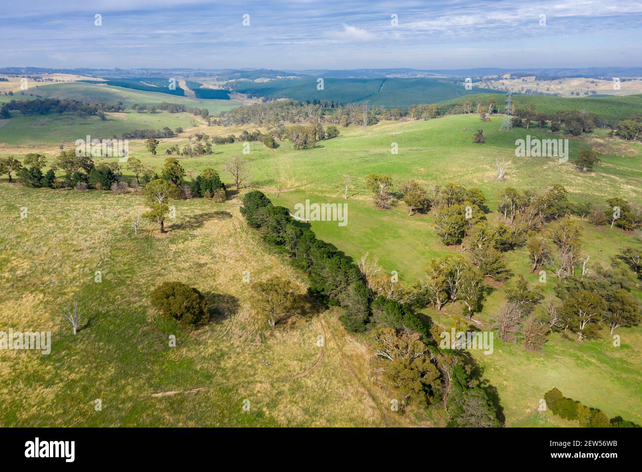 Aerial view of of green farmland in the Central Tablelands in regional ...