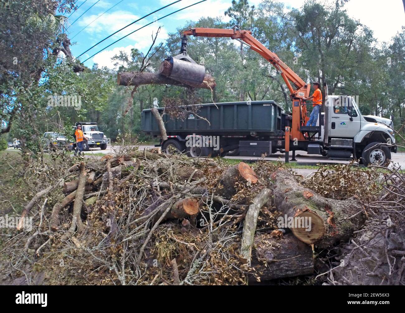 Workers from Seminole County Roads-Stormwater remove yard waste from ...