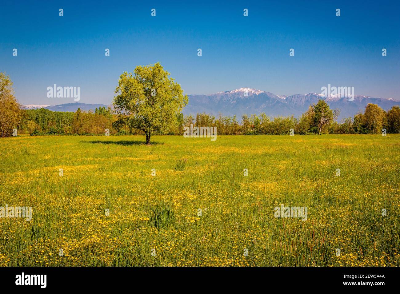 Castello di godego hi-res stock photography and images - Alamy