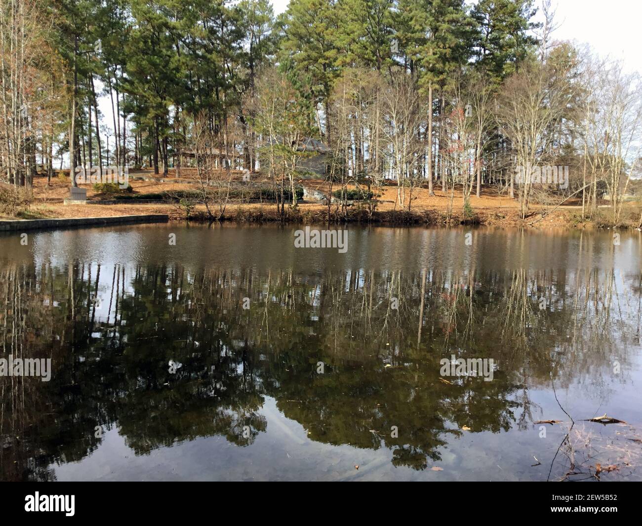 Briscoe park hi-res stock photography and images - Alamy