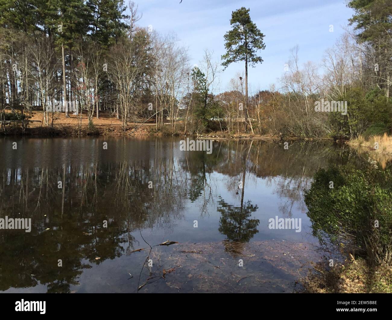 Briscoe park hi-res stock photography and images - Alamy