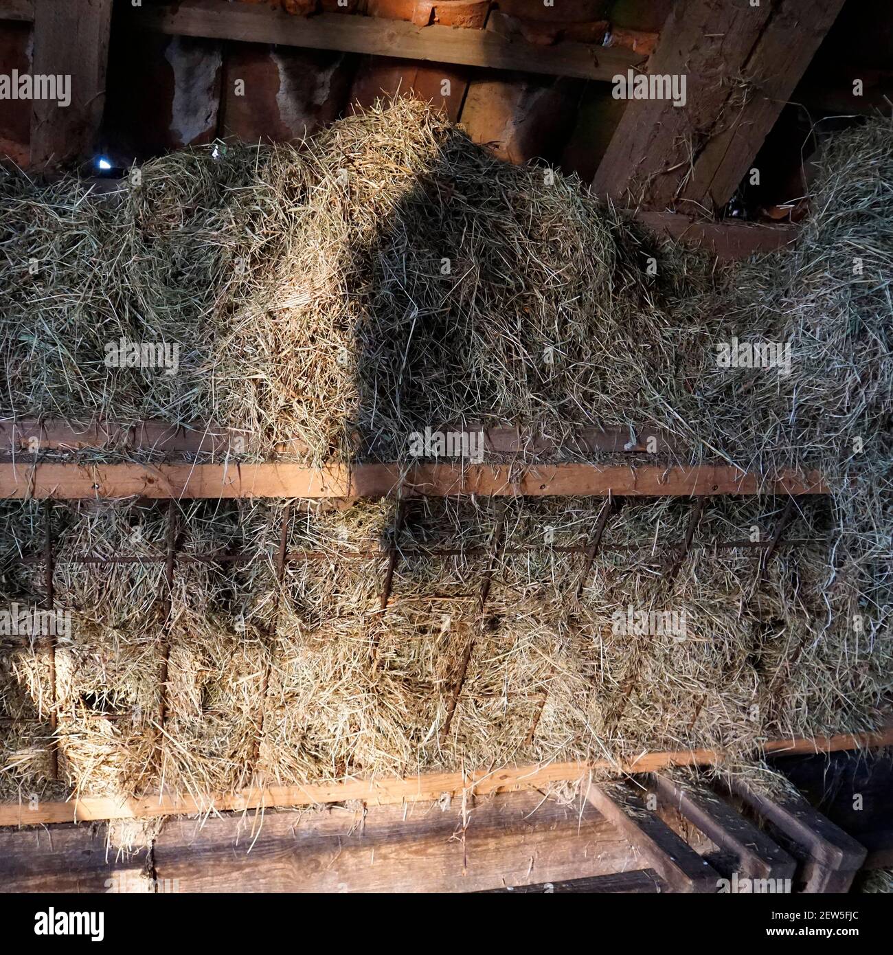 Cattle feed. Hay in a feeder for the sheep in a rustic sheep shed Stock ...
