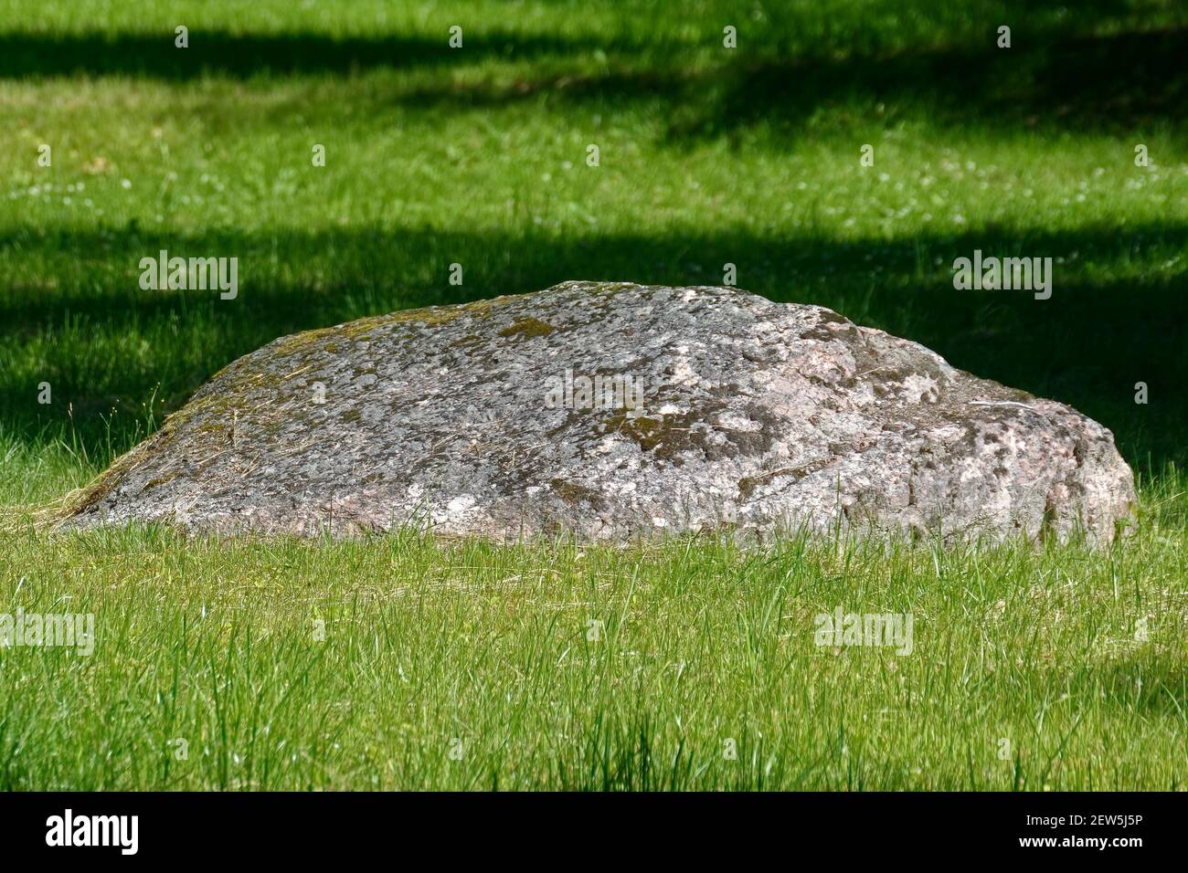 Large gray boulder, illuminated by bright sunlight, covered with moss ...