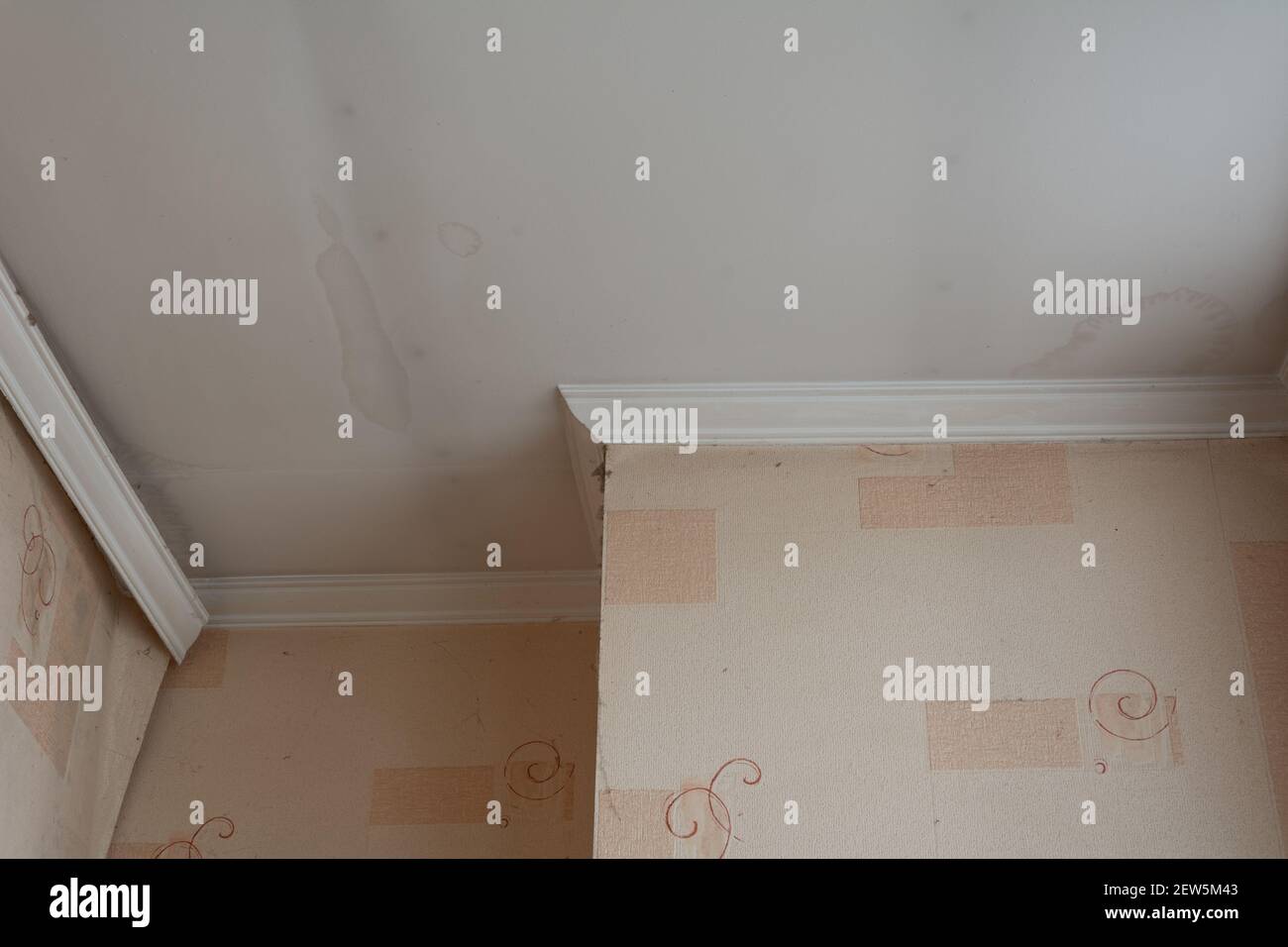 Roof leaks, marks on the white painted ceiling after rain or melting ...