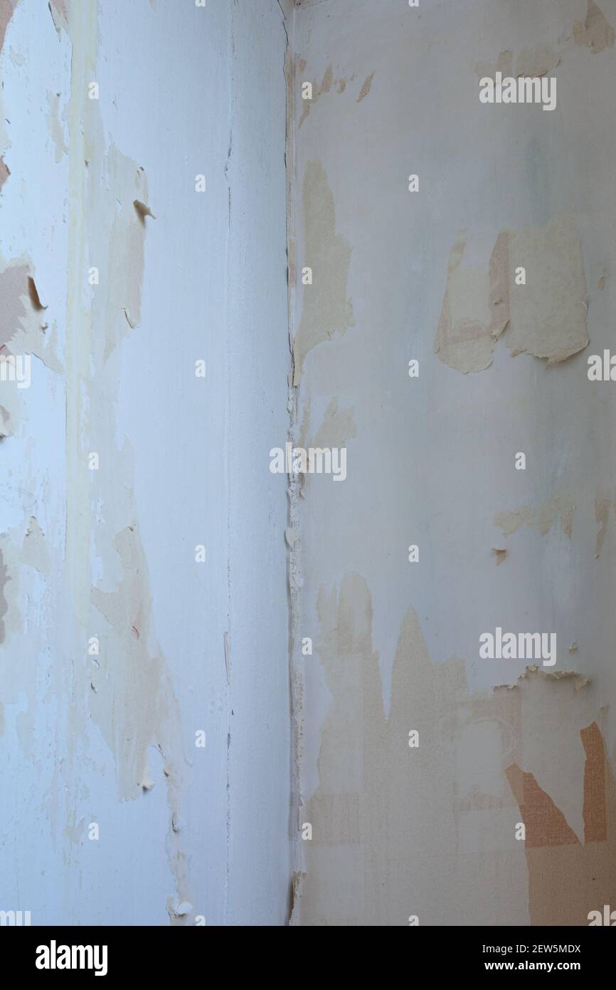 Scattered plaster. Renovation of apartments Stock Photo - Alamy