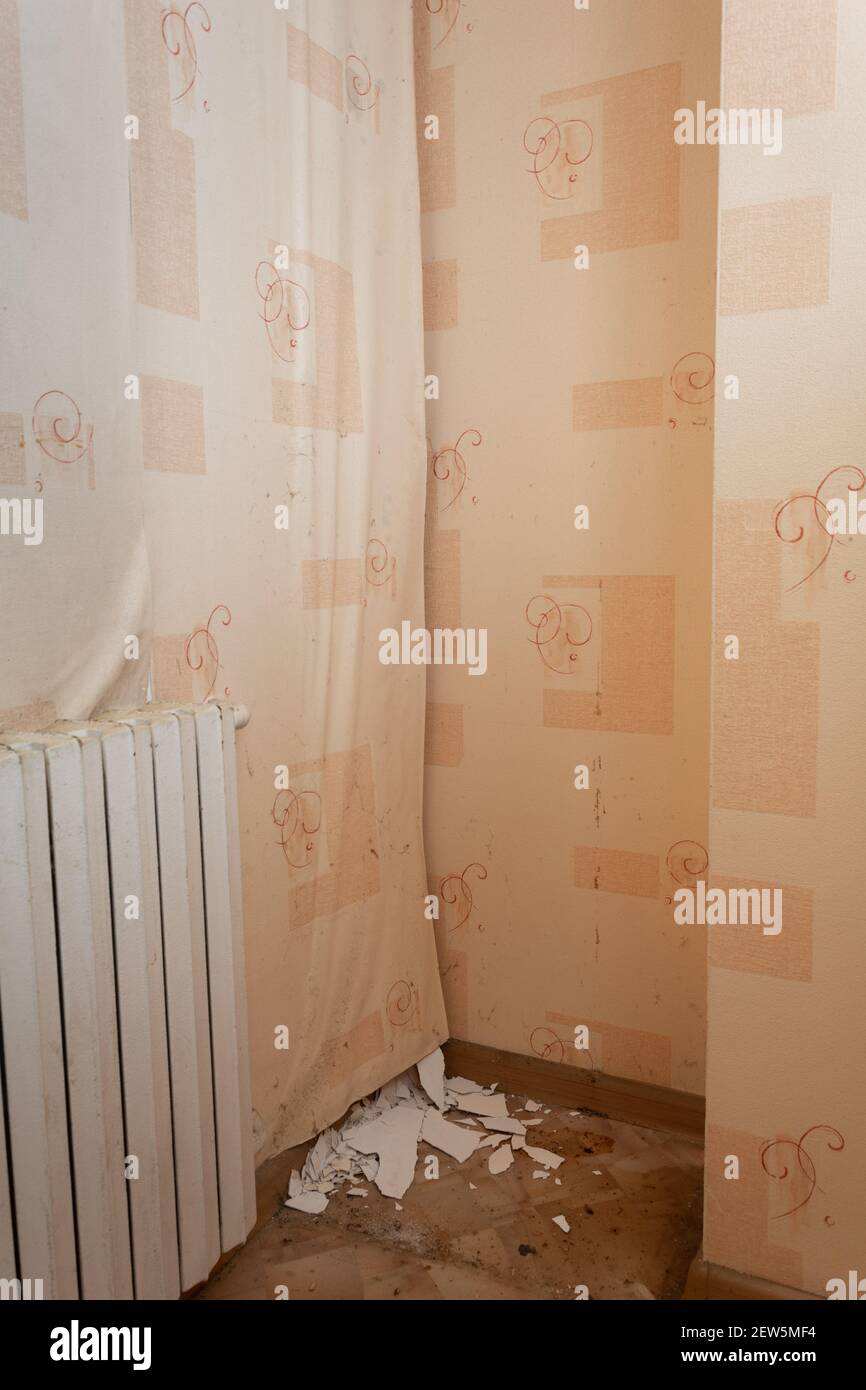 Scattered plaster. Renovation of apartments Stock Photo - Alamy
