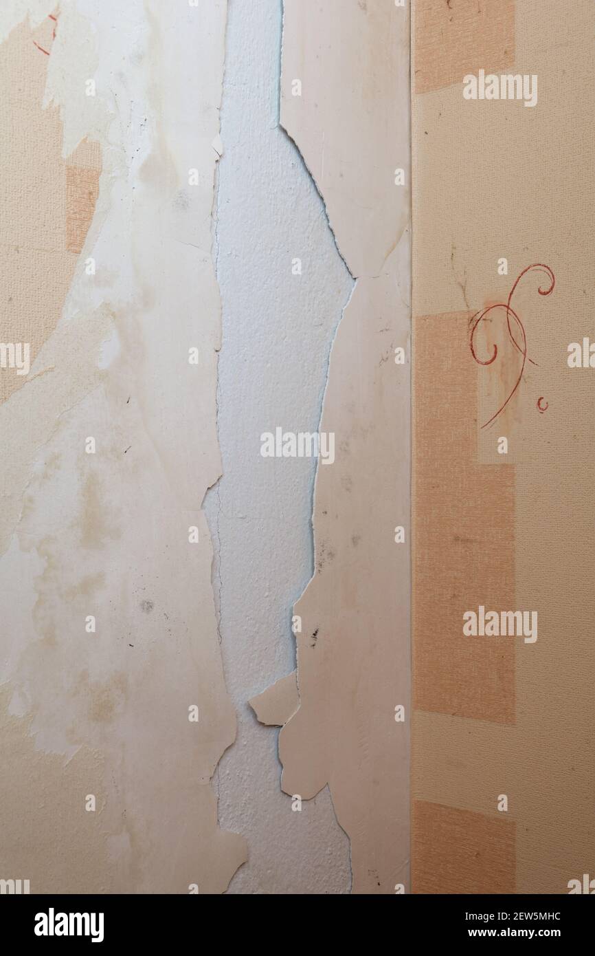 Scattered plaster. Renovation of apartments Stock Photo - Alamy