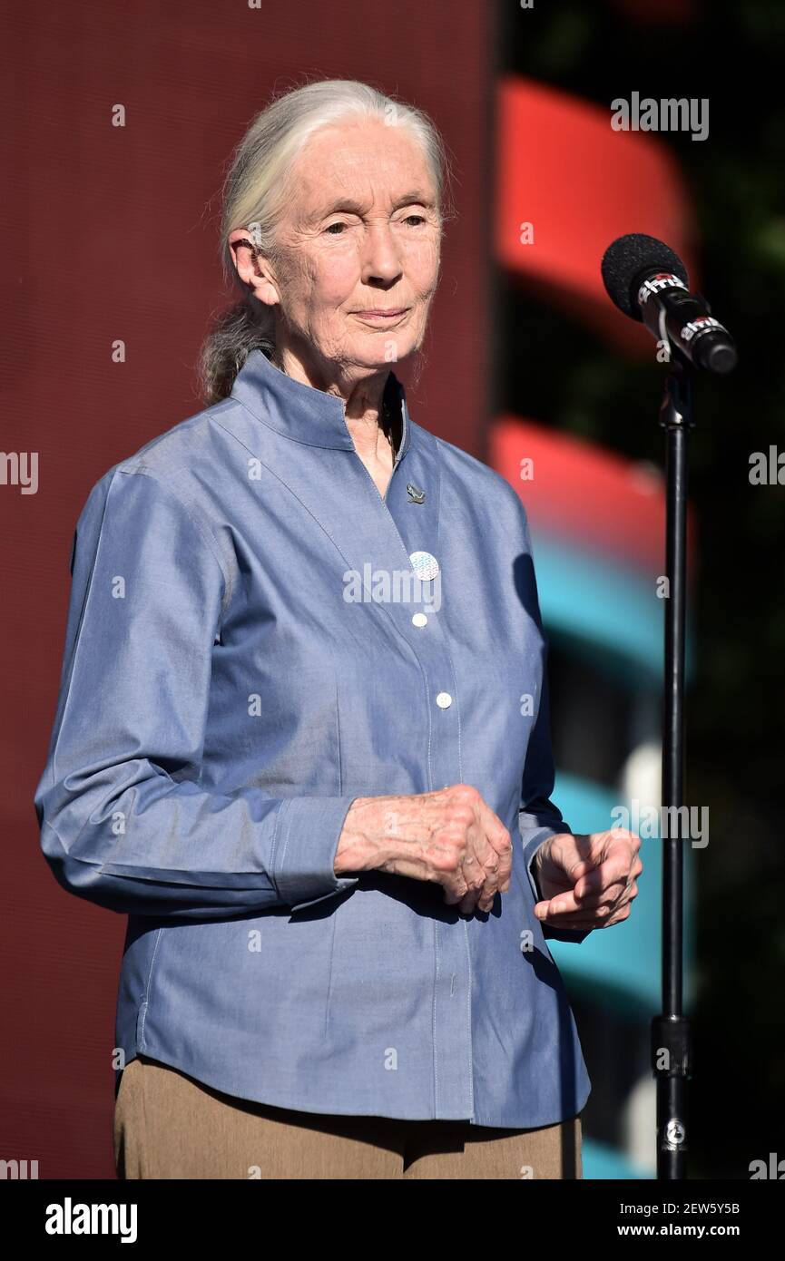 Jane Goodall attends the 2017 Global Citizen Festival in Central Park ...