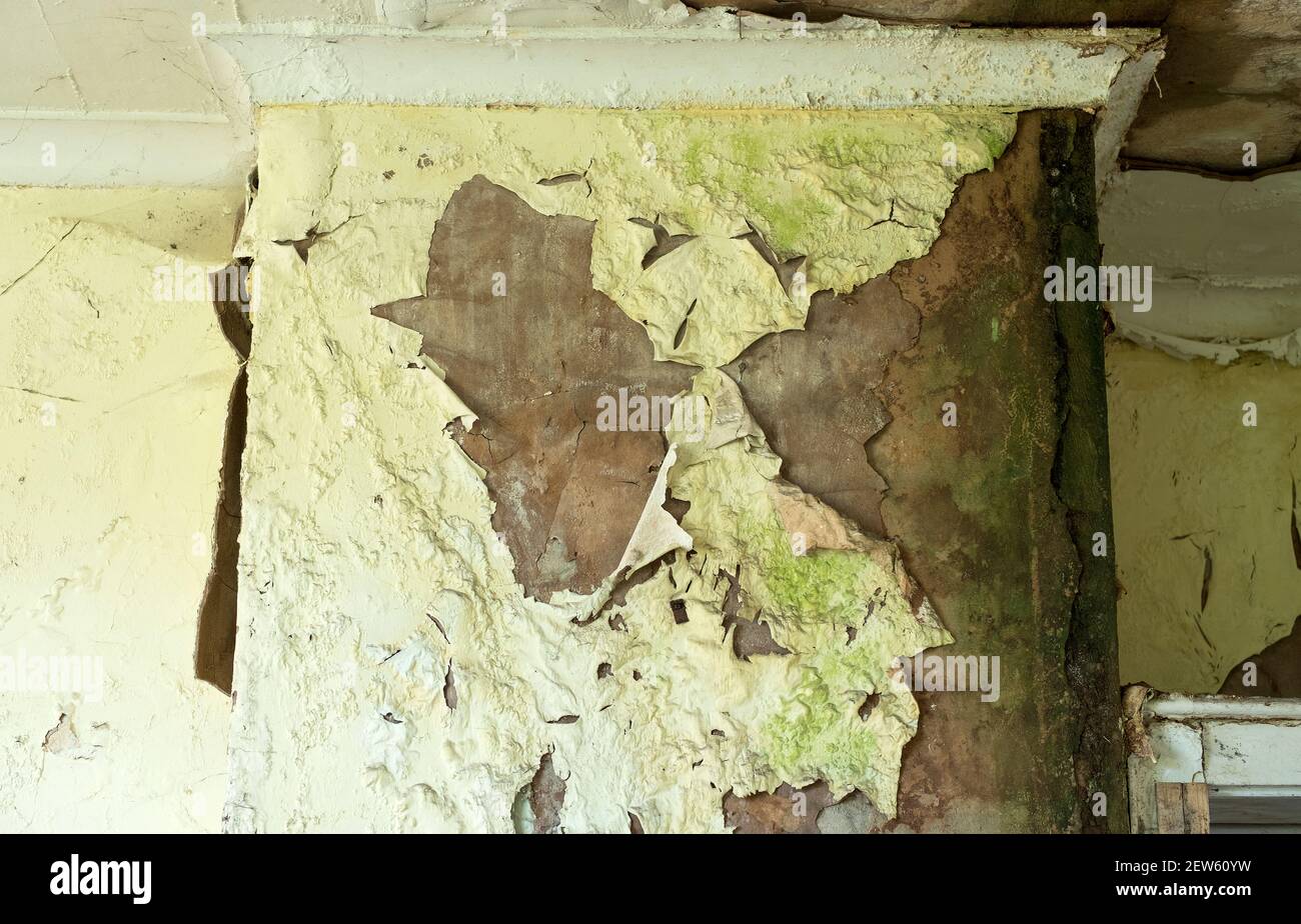 Flood damage inside house hi-res stock photography and images - Alamy