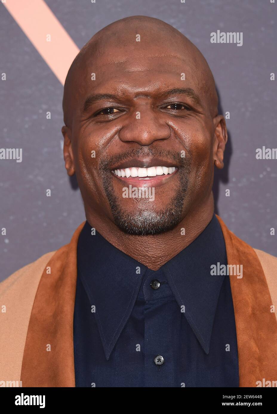 LOS ANGELES - SEPTEMBER 25: Terry Crews at the Fox Fall Party at the ...