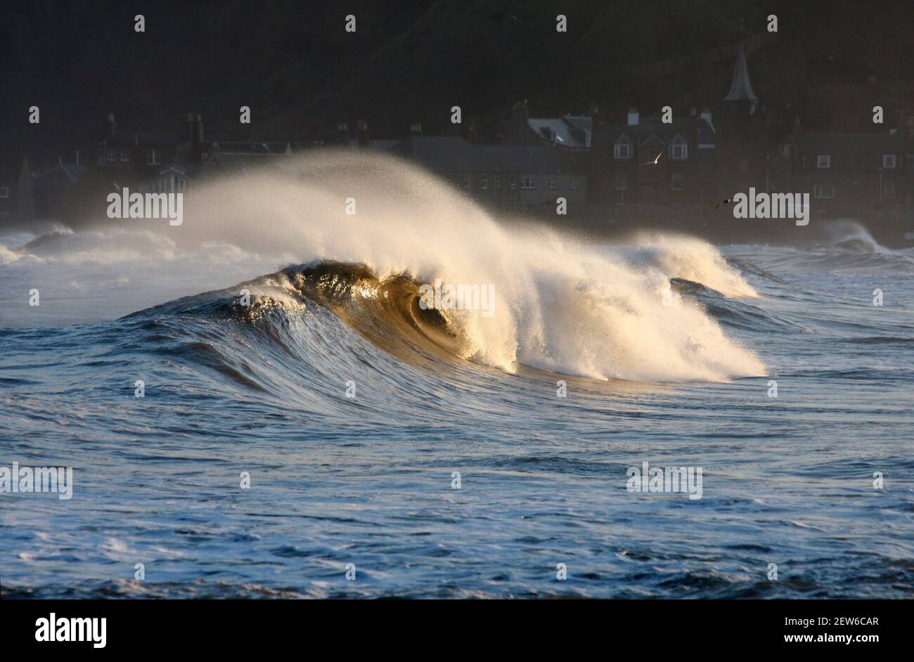 Breaking wave, Stonehaven Bay, Aberdeenshire, Scotland Stock Photo - Alamy