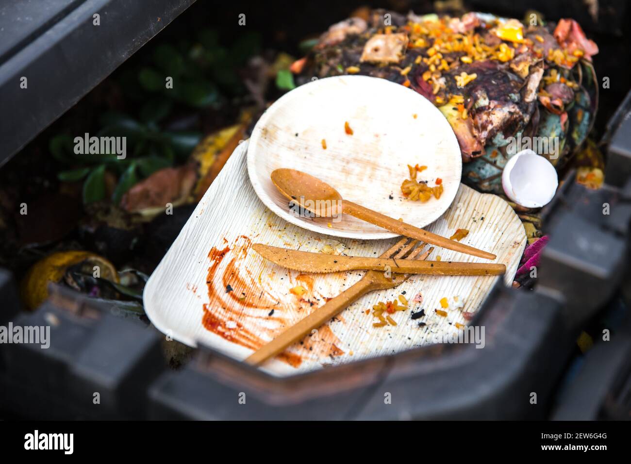 Food Waste Plate