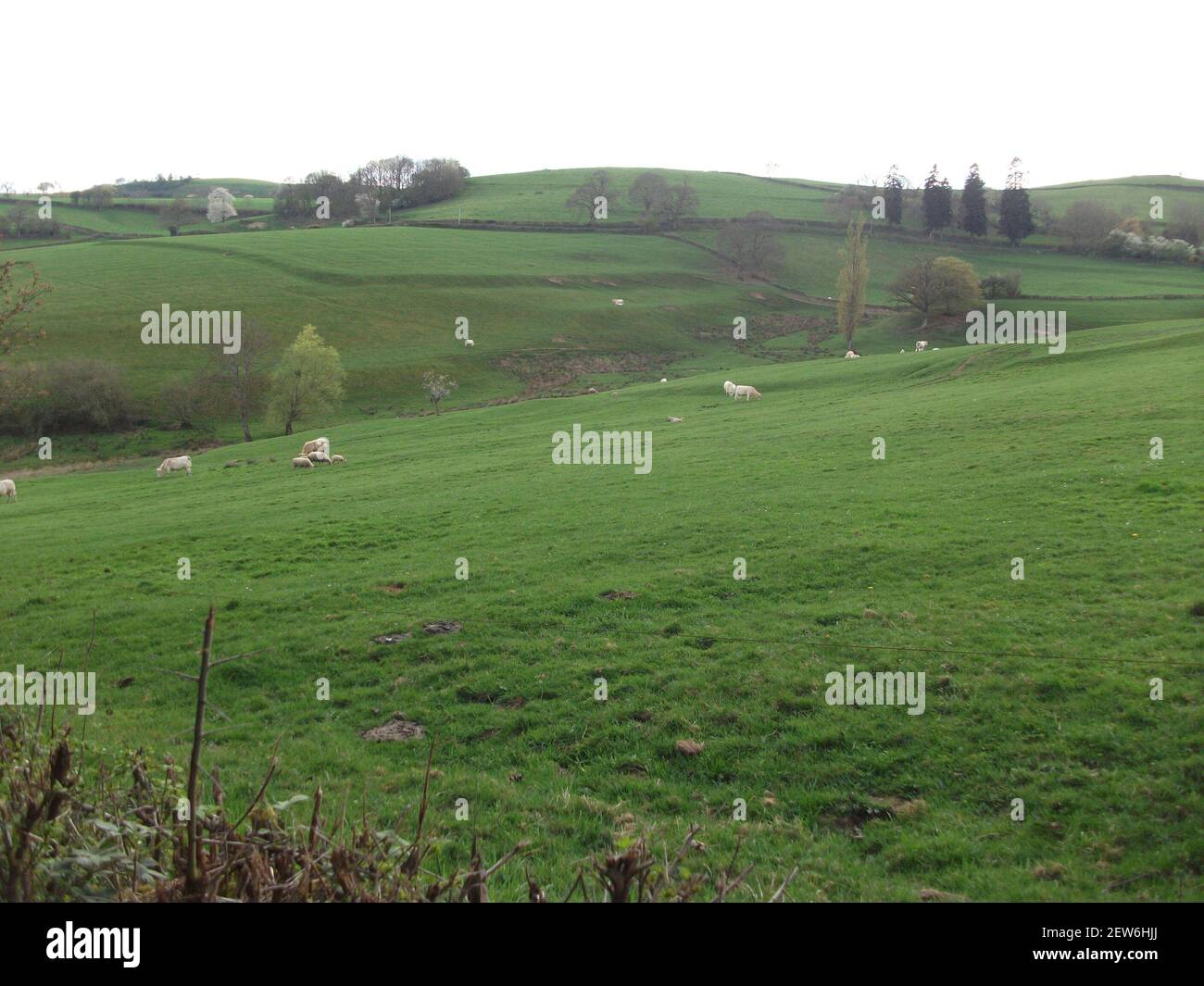 French Country side Stock Photo - Alamy