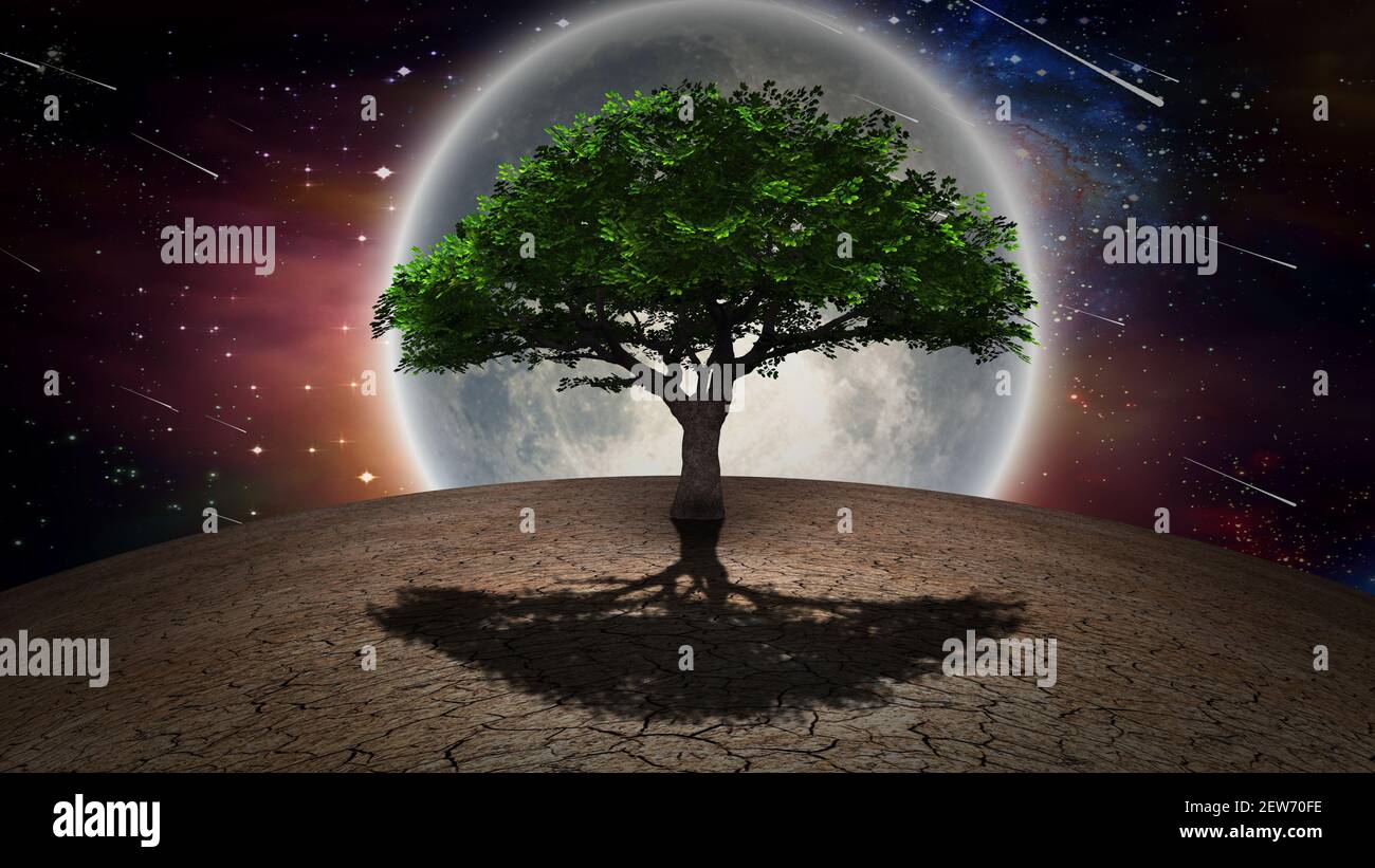 Green tree of Life. 3D rendering Stock Photo - Alamy
