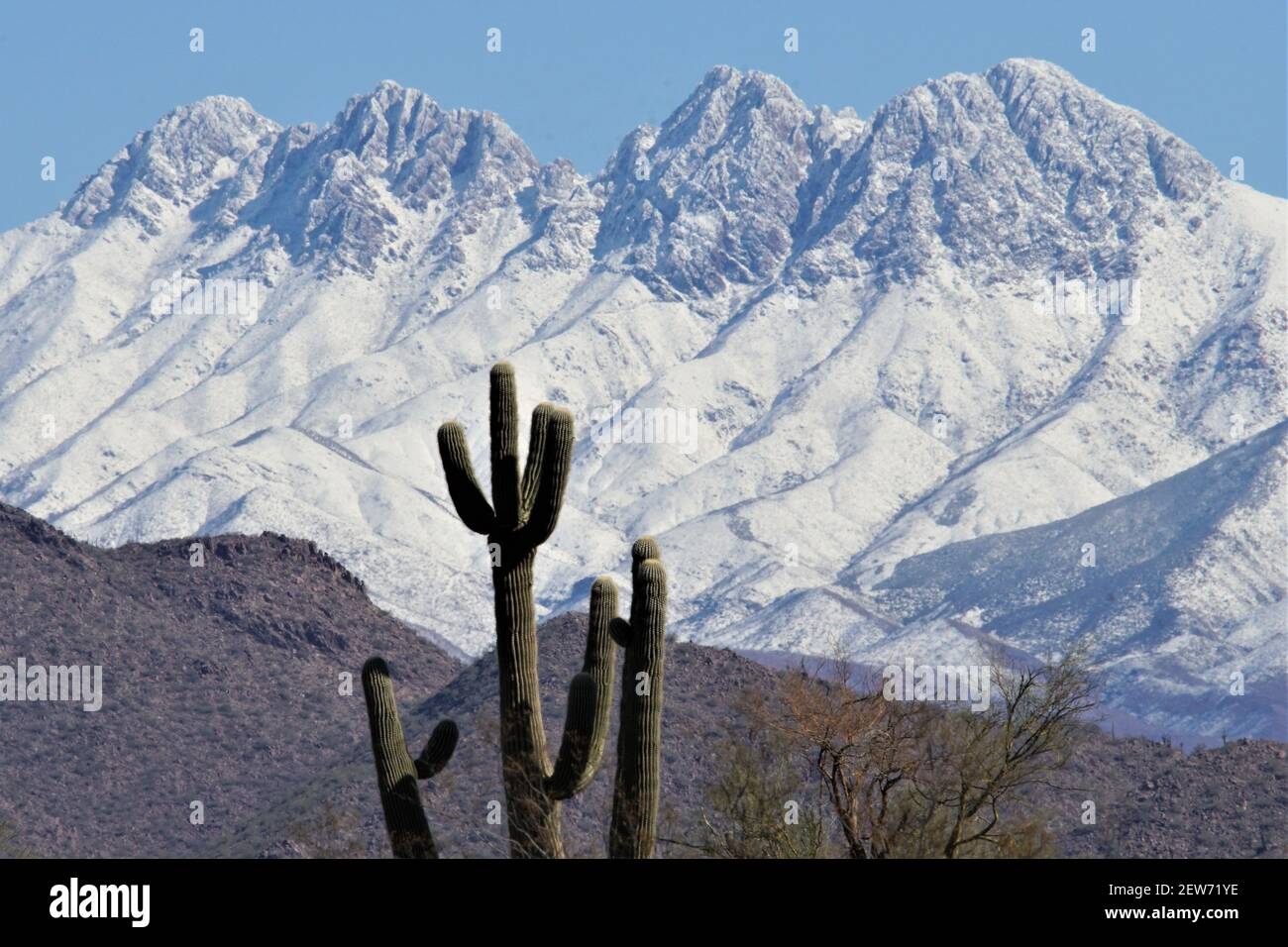 The beautiful Four Peaks wilderness area in the Superstition Range east ...
