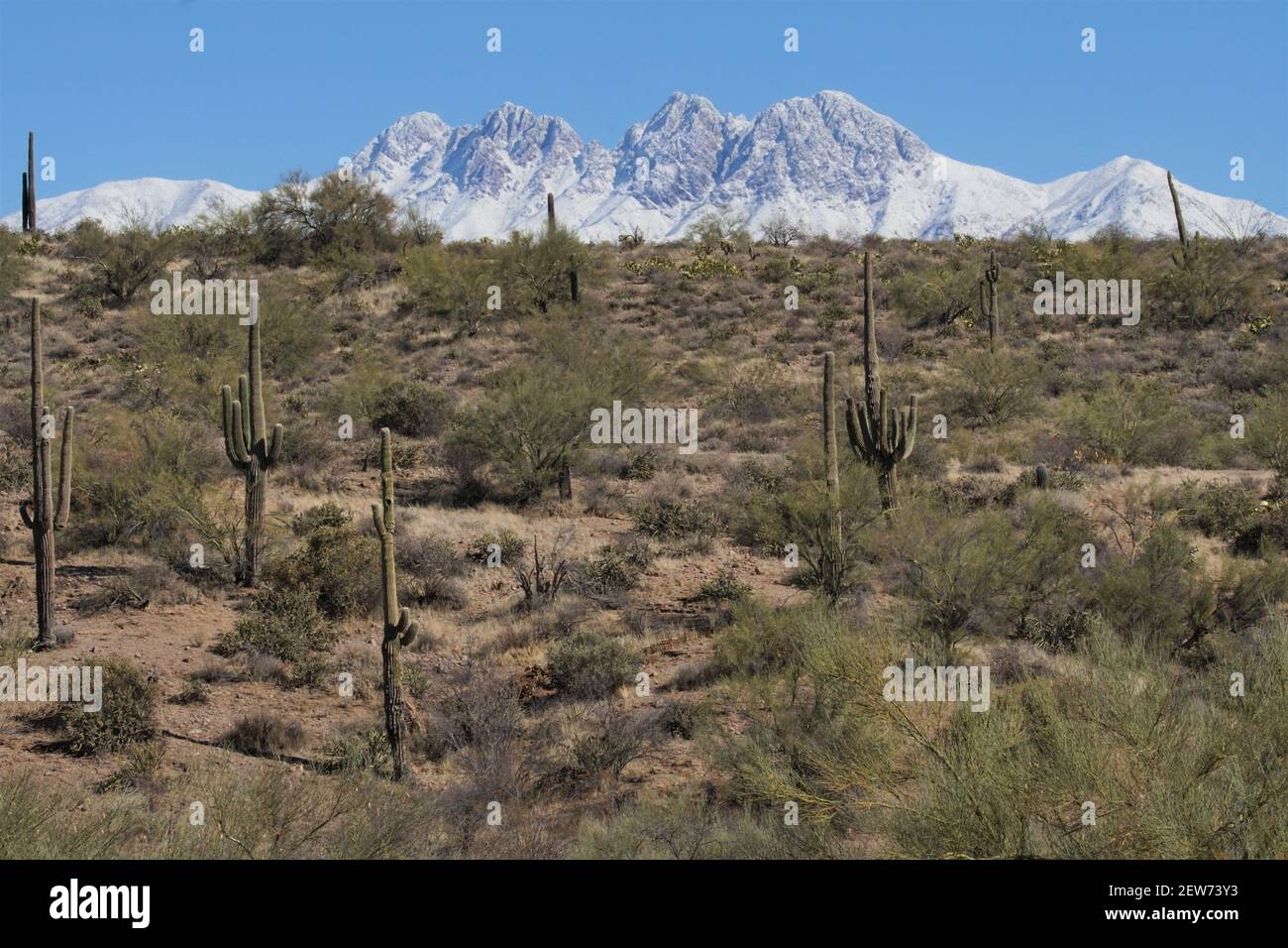 The beautiful Four Peaks wilderness area in the Superstition Range east ...