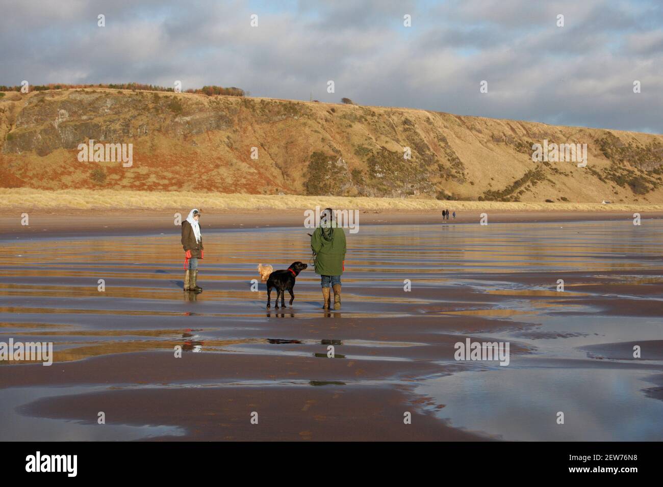 Walkers with dogs on the beach at St Cyrus National Nature Reserve ...