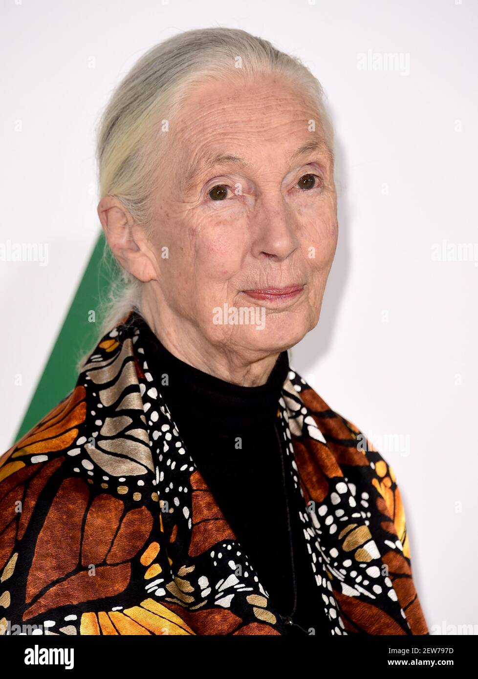 HOLLYWOOD - OCTOBER 9: Dr. Jane Goodall attends the Los Angeles ...
