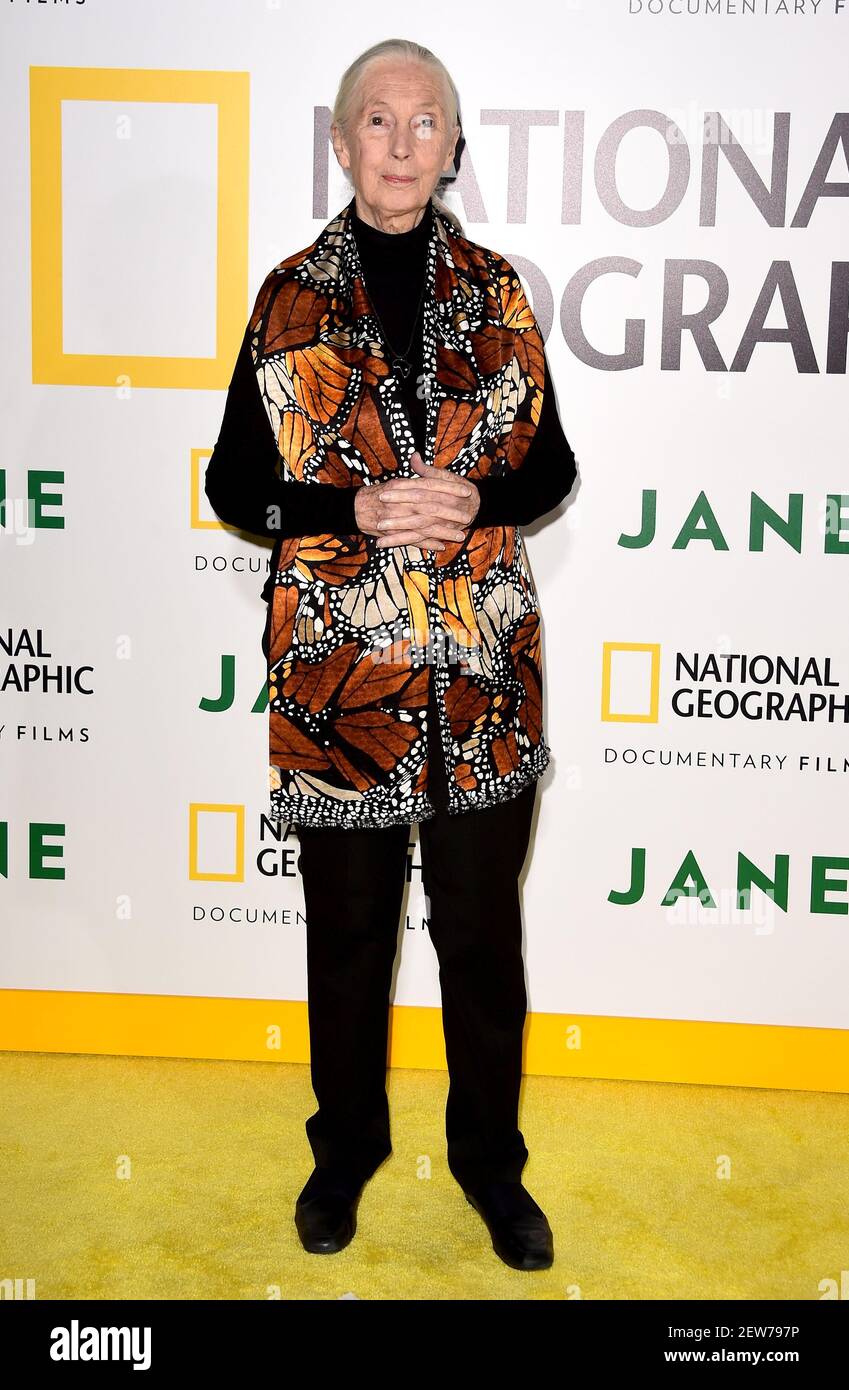 HOLLYWOOD - OCTOBER 9: Dr. Jane Goodall attends the Los Angeles ...