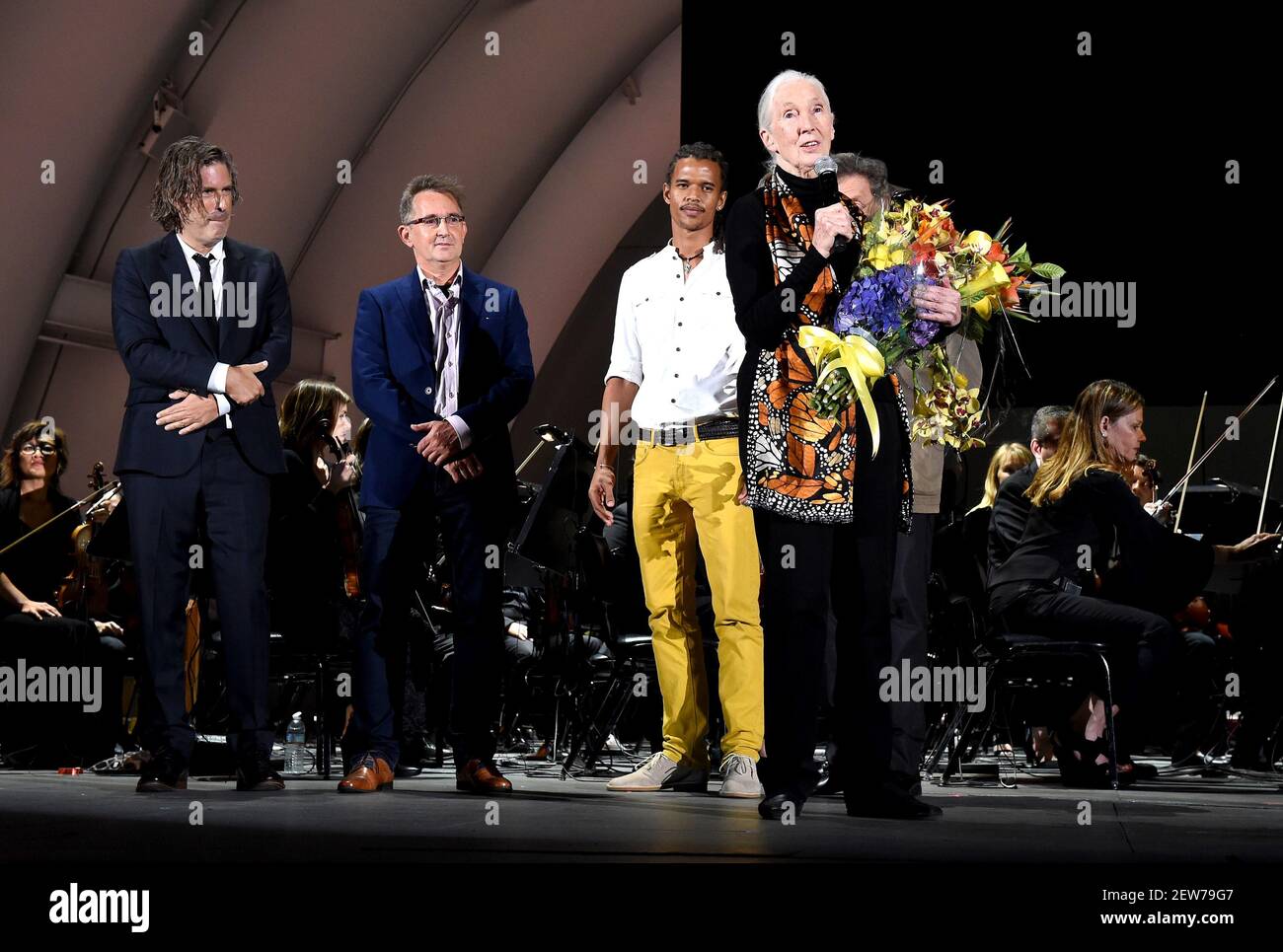 HOLLYWOOD - OCTOBER 9: (L-R) Brett Morgen, Grub van Lawick, Merlin Van ...