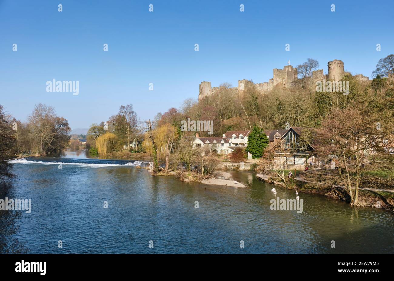 The River Teme beside Ludlow Castle, Ludlow, Shropshire Stock Photo - Alamy