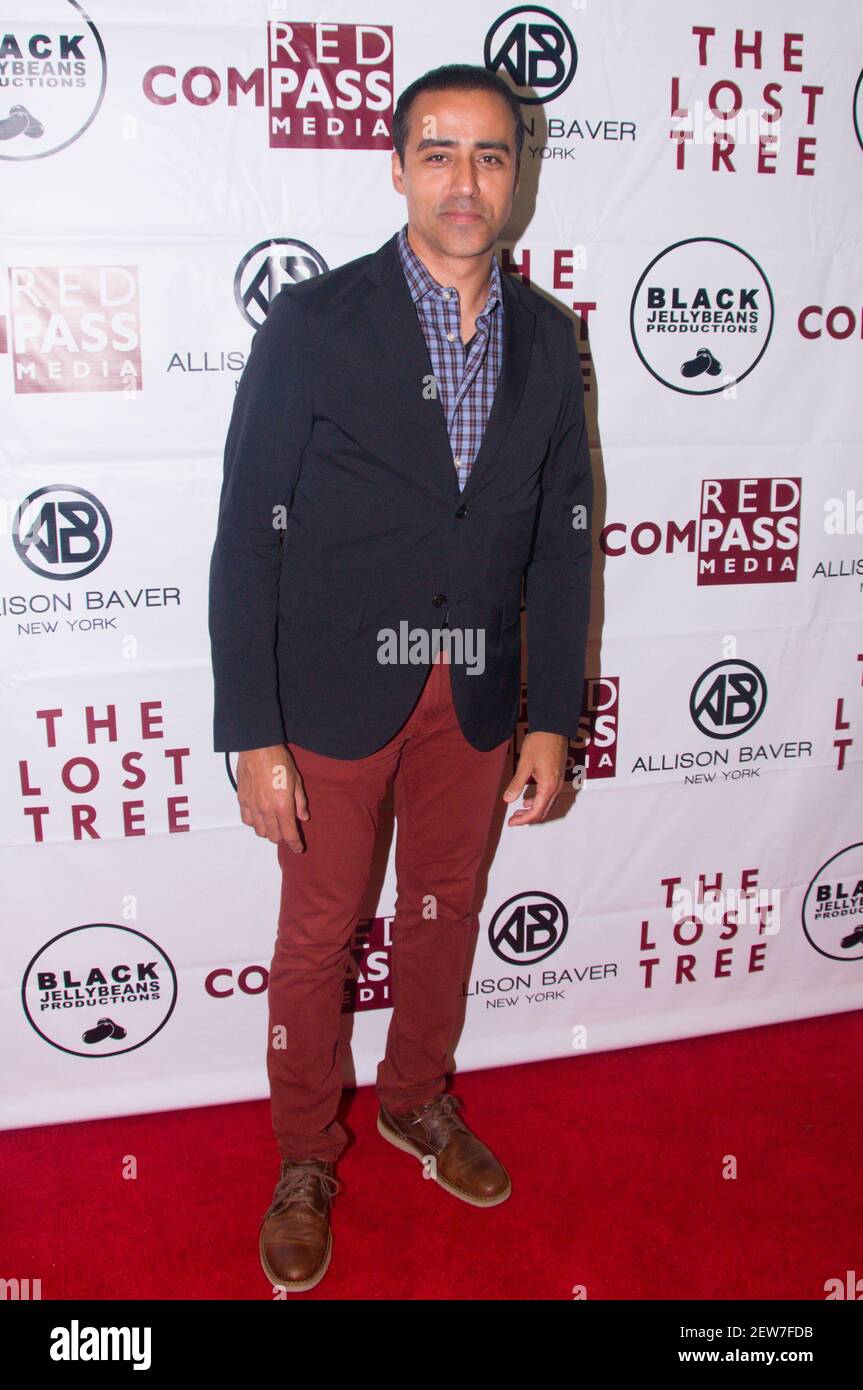 Frank Licari attends THE LOST TREE NYC Premiere on October 12, 2017 at ...