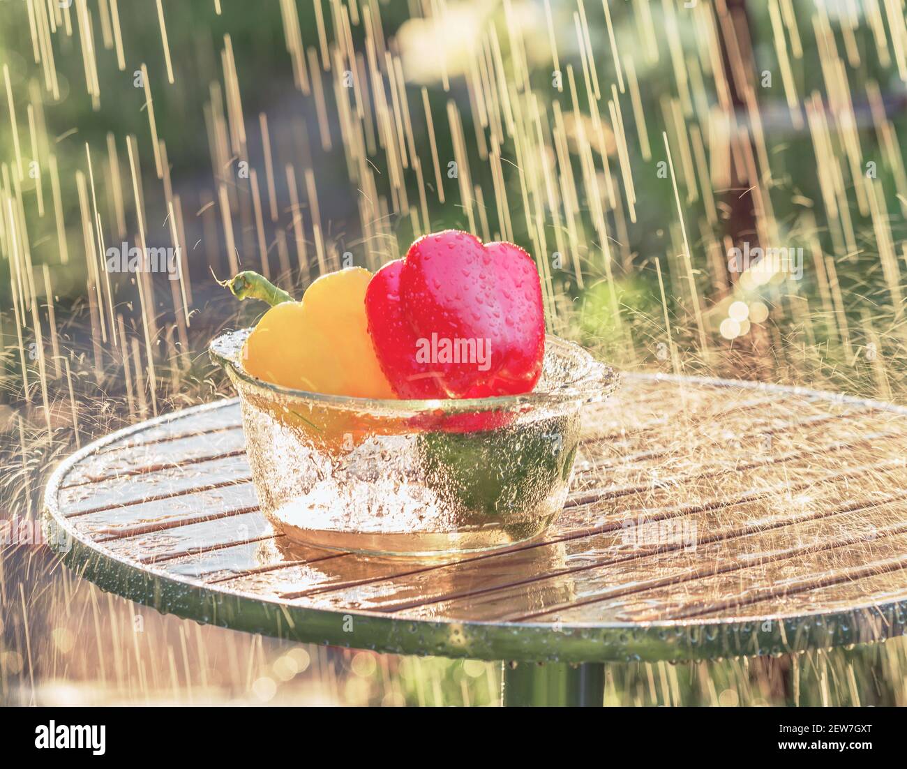 Peppers in water hi-res stock photography and images - Alamy