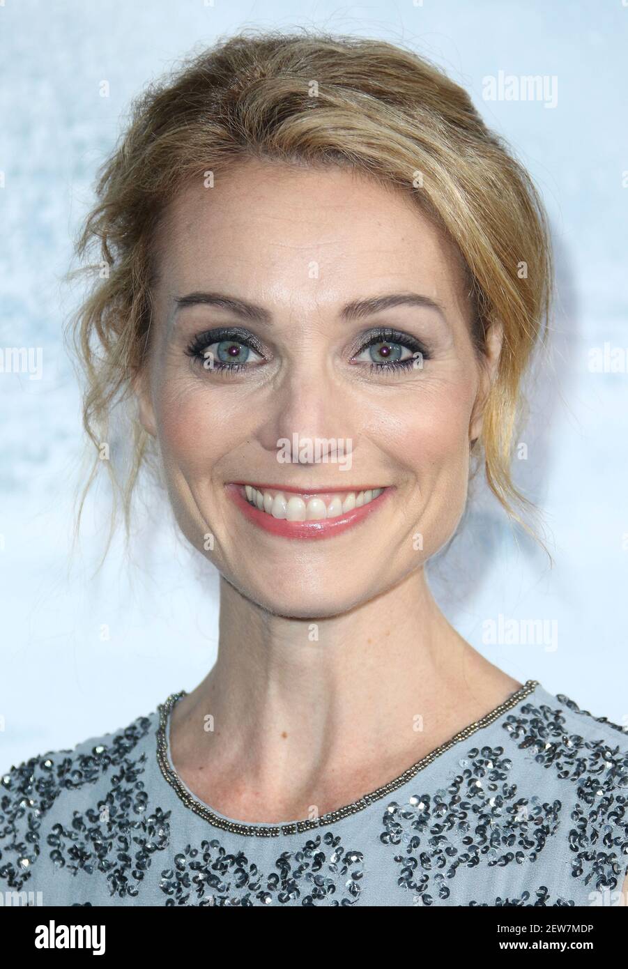 Lisa Brenner at the Premiere Of Warner Bros. Pictures' "Geostorm" held ...