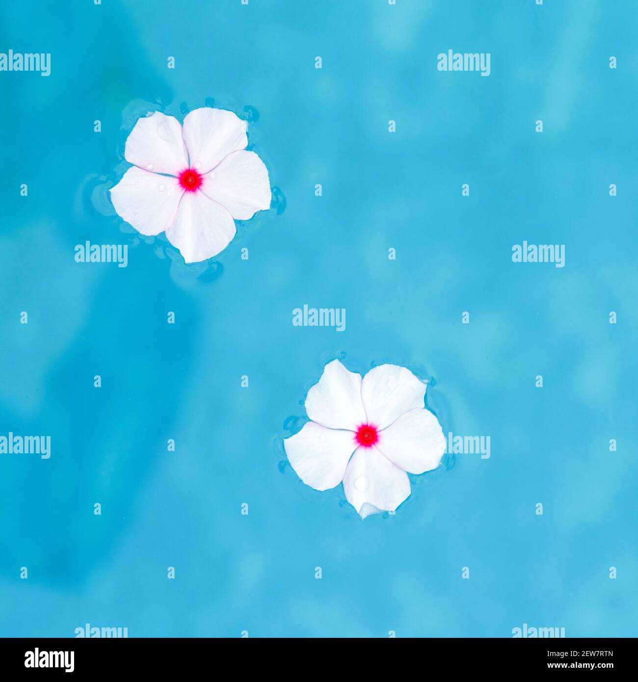 Couple pool float hi-res stock photography and images - Alamy