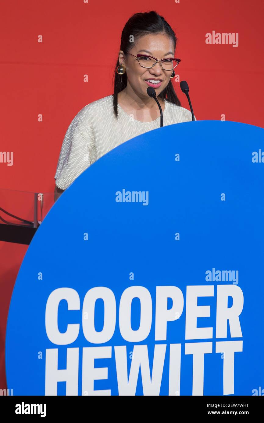 Mary Ping at the 2017 National Design Awards Gala held at the Cooper ...