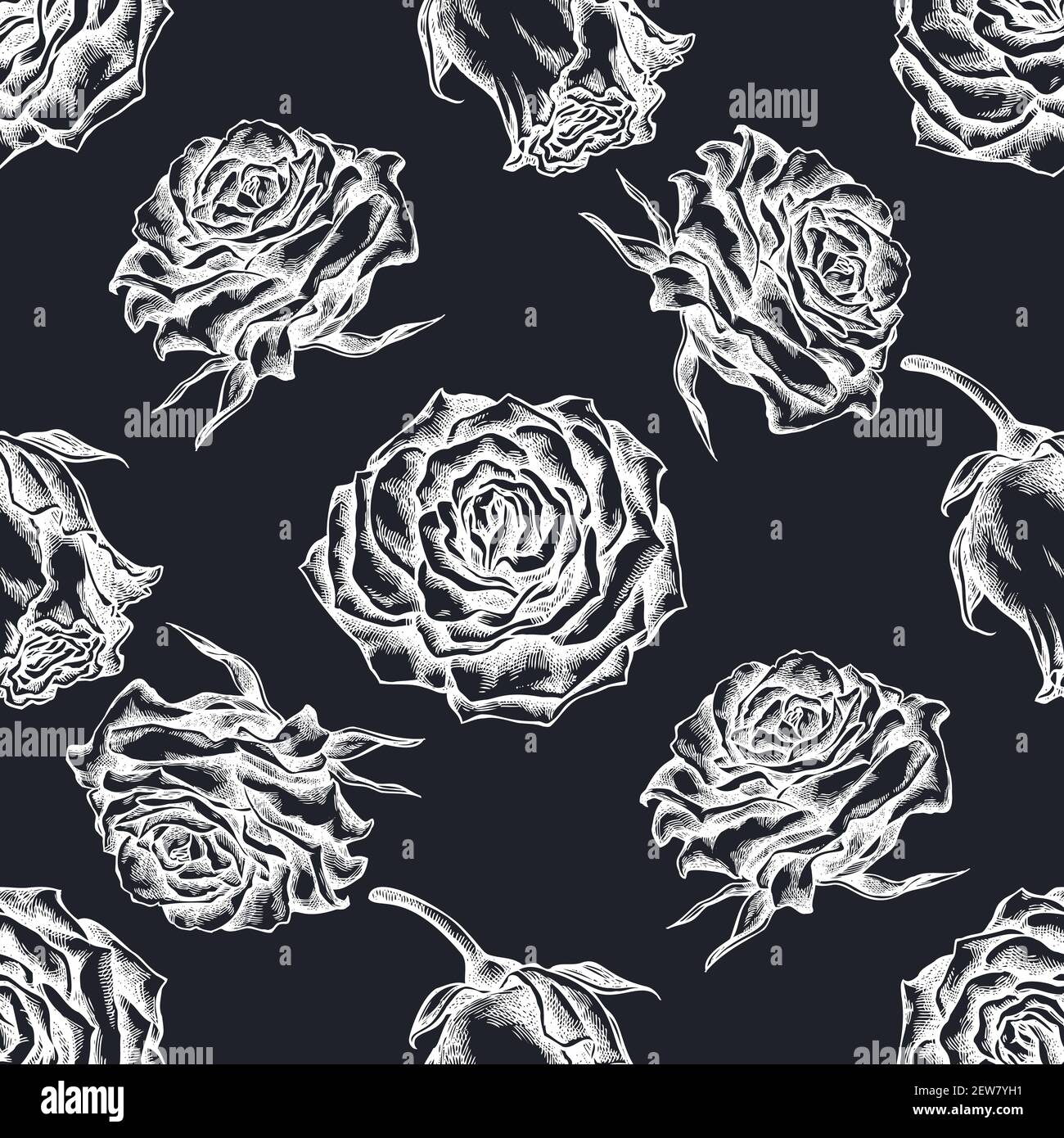 Seamless pattern with hand drawn chalk roses Stock Vector Image & Art - Alamy