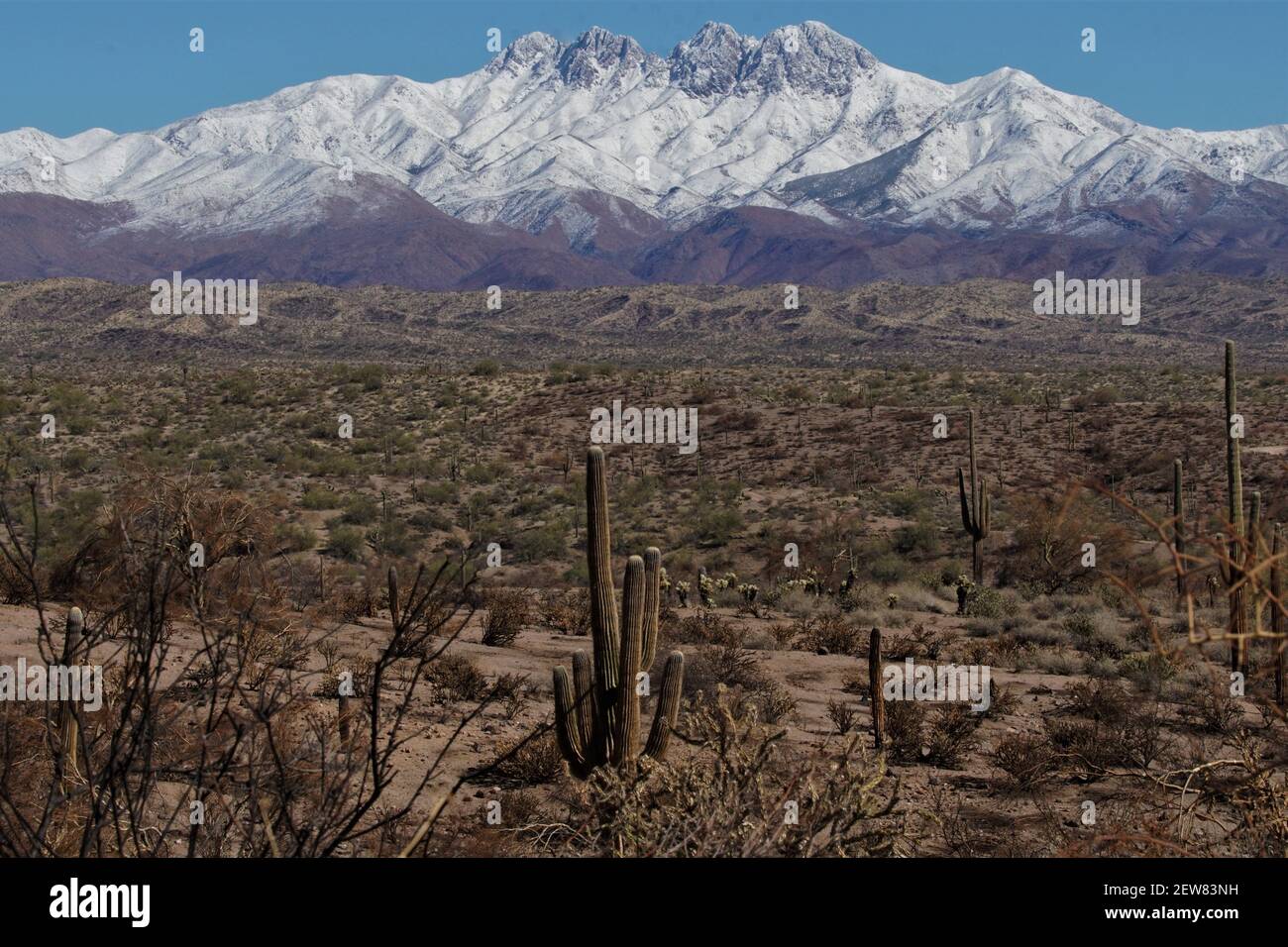 The beautiful Four Peaks wilderness area in the Superstition Range east ...