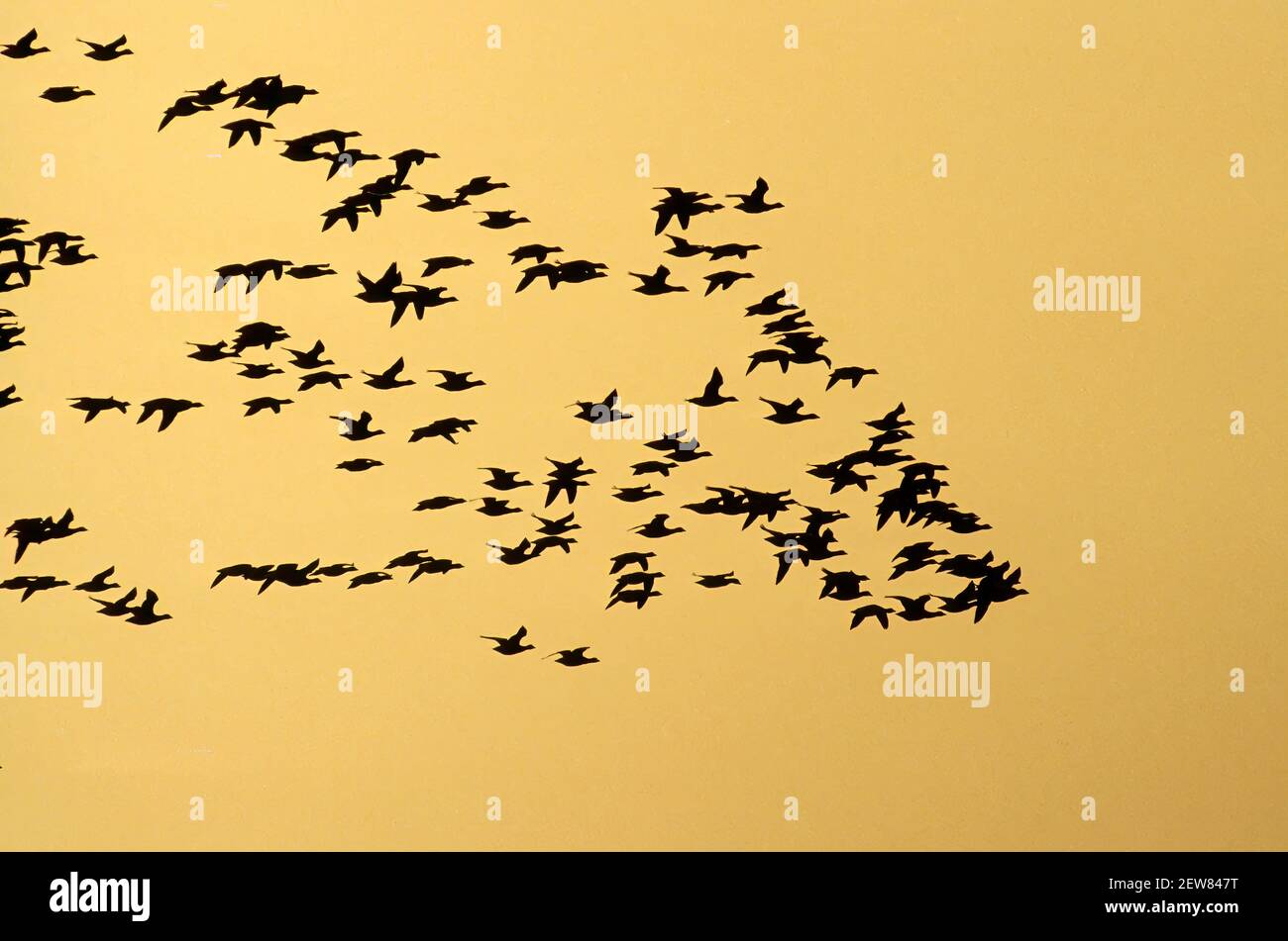 Flight pattern hi-res stock photography and images - Alamy