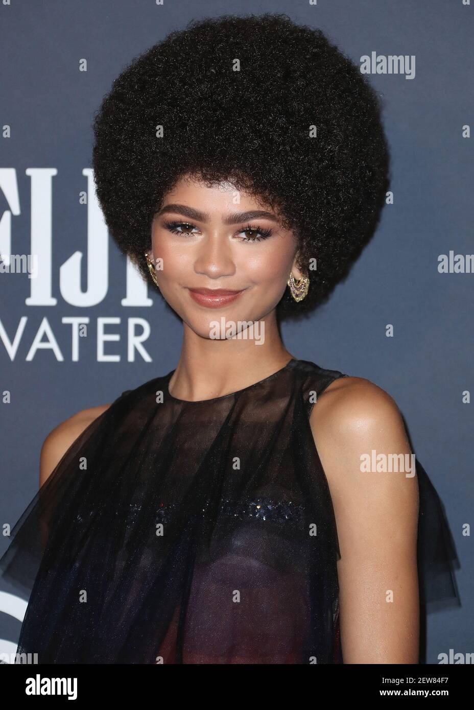LOS ANGELES - OCTOBER 23: Zendaya at the 3rd Annual InStyle Awards at ...