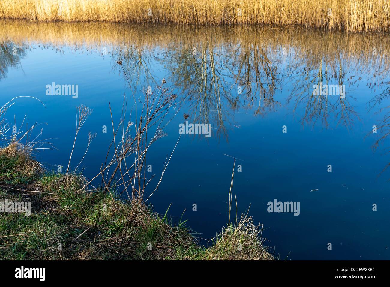 Ripples on the surface of the canal hi-res stock photography and images ...