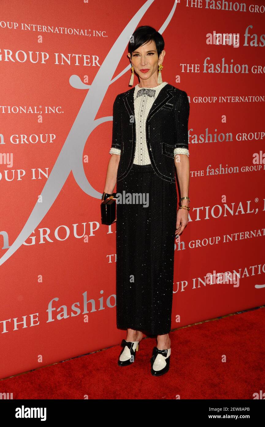 Amy Fine Collins attends the 2017 FGI Night of Stars, held at Cipriani ...