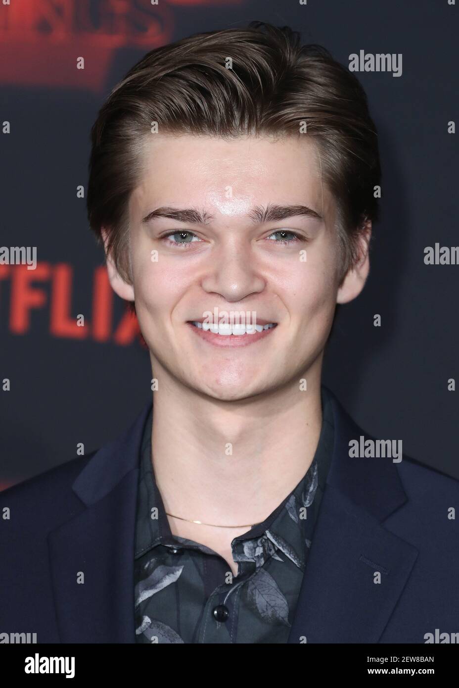 WESTWOOD - OCTOBER 26: Elijah Stevenson at the premiere of Netflix's ...