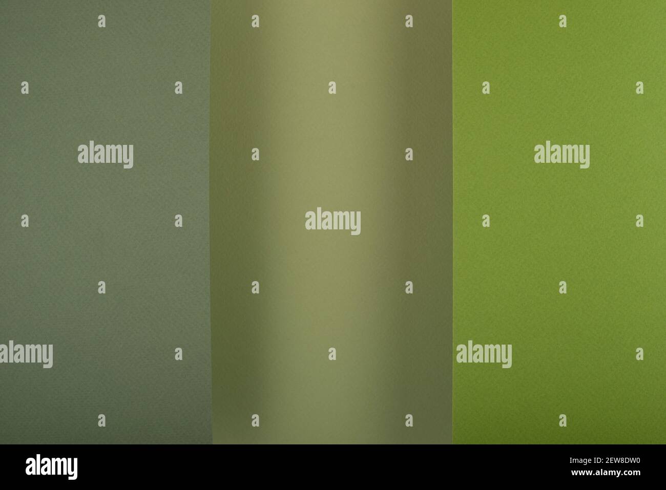 Green paper texture. Minimal geometric composition. Frame or template ...