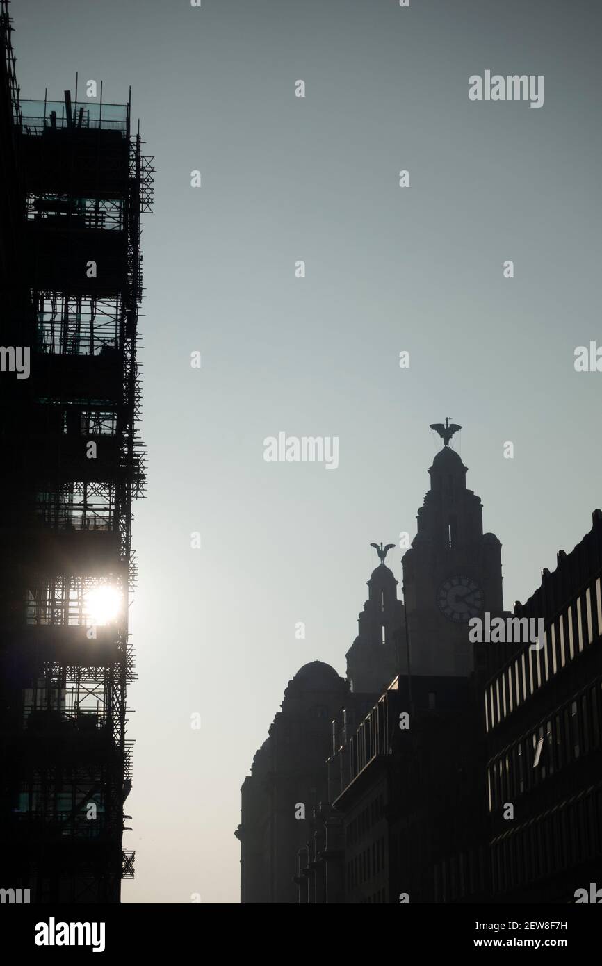 Towers of the Royal Liver Building with liver birds set against the ...